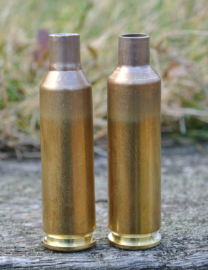Wildcats I Have Known and Loved – the 6mm SMACK | Target Shooter Magazine